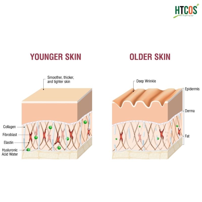 Bạn đã Biết Collagen Có Tác Dụng Gì Cho Da Chưa?